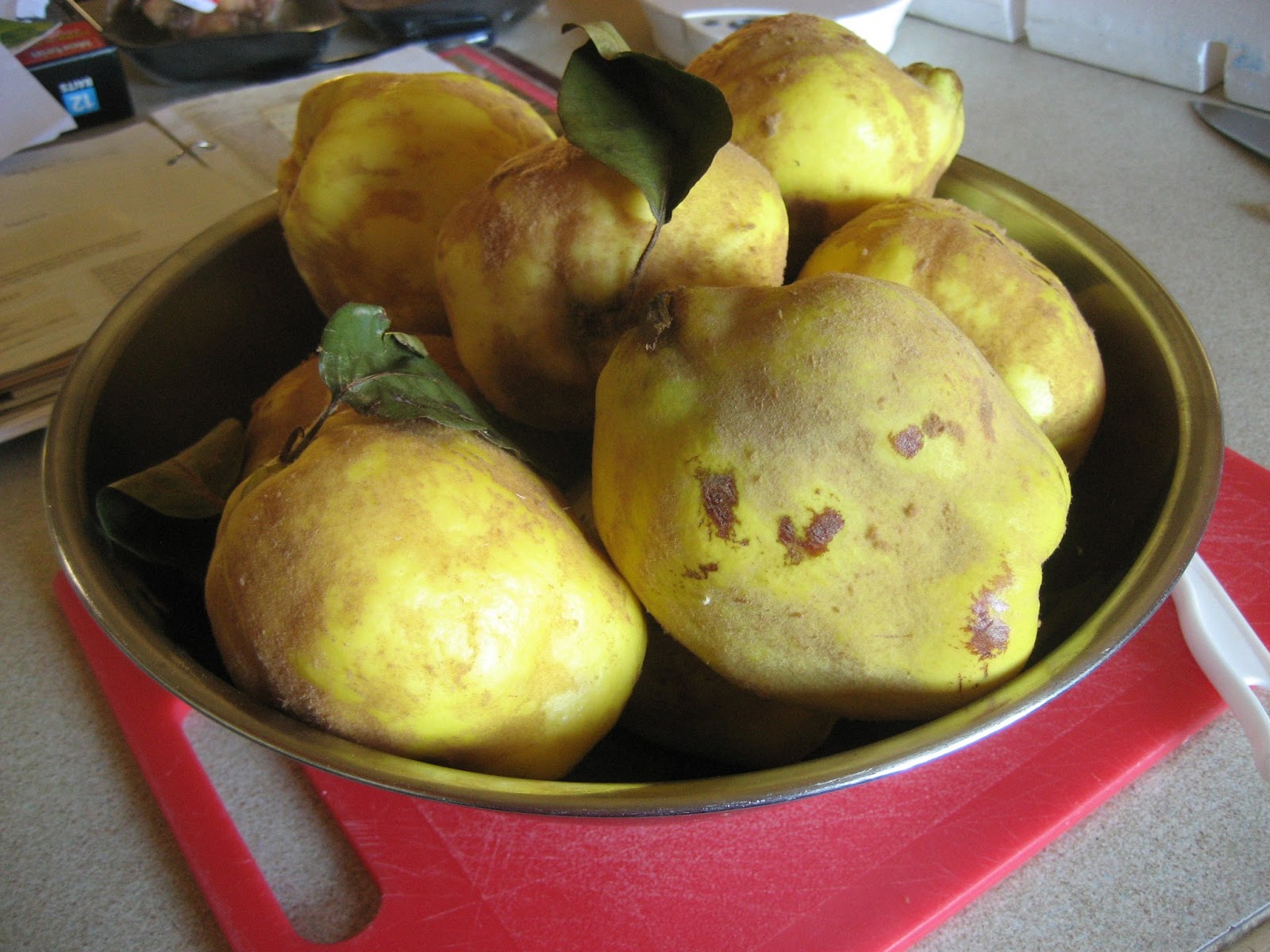 Life at Arbordale Farm: Glorious Quinces and Making Quince Paste